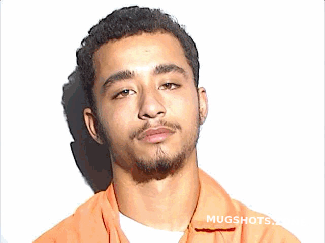 LANG DAVON KARL 10/30/2024 - Lucas County Mugshots Zone