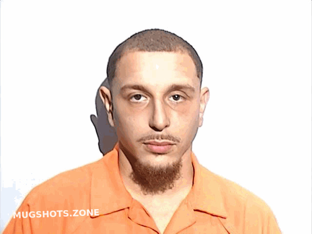 HASSAN-MORGAN KYLE EDWARD 10/31/2024 - Lucas County Mugshots Zone