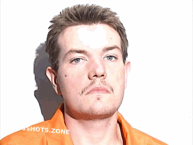 MILLER MATTHEW AARON JR 10/31/2024 - Lucas County Mugshots Zone