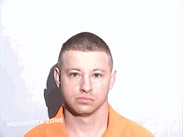BLEVINS DUSTIN EUGENE 11/01/2024 - Lucas County Mugshots Zone