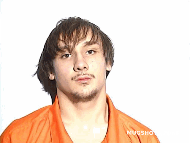 BURFORD CHRISTIAN EZEKIEL I 11/02/2024 - Lucas County Mugshots Zone