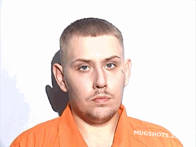MCGEE AIDAN DONALD 11/04/2024 - Lucas County Mugshots Zone