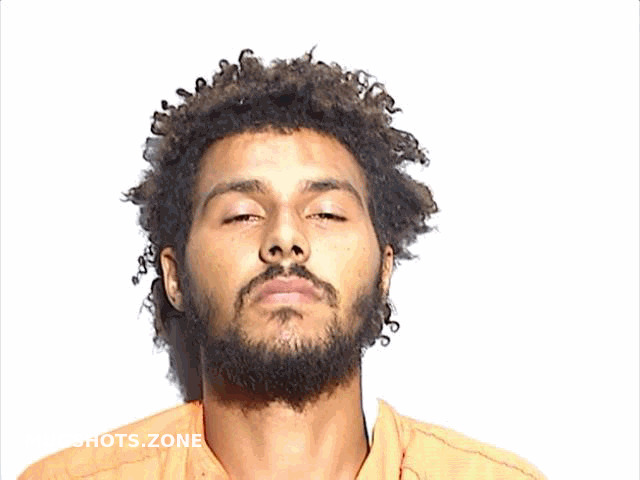 SMITH TREY 11/05/2024 - Lucas County Mugshots Zone