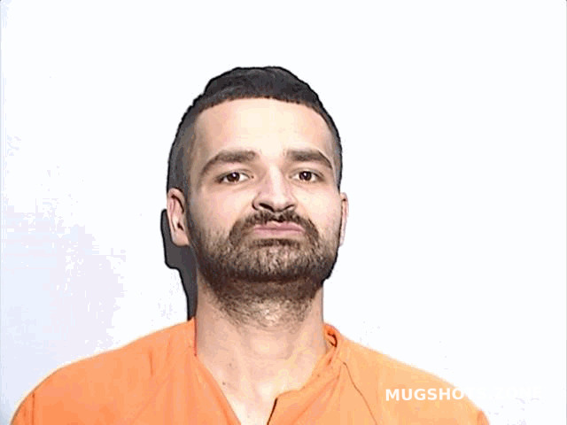 DILLINGER LOGAN JOHN 11/05/2024 - Lucas County Mugshots Zone