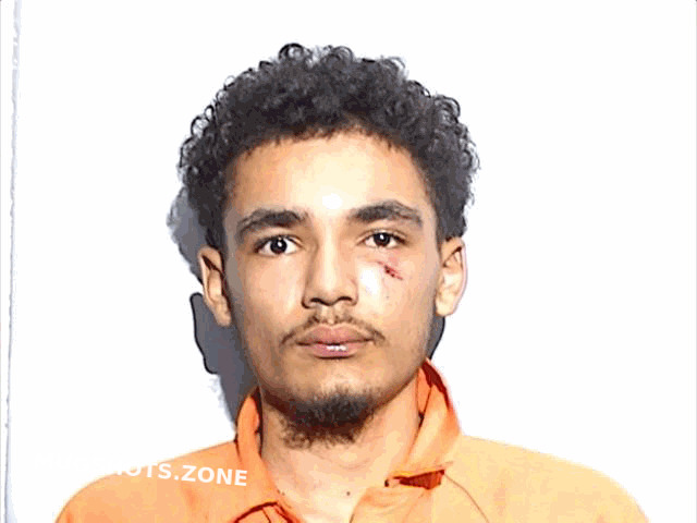 RUIZ ANTJUAN XAVIER 11/06/2024 - Lucas County Mugshots Zone