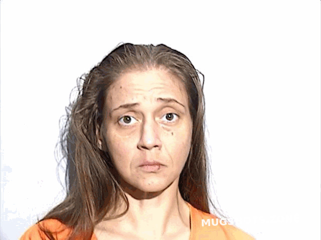MINCH SARAH ELIZABETH 11/06/2024 - Lucas County Mugshots Zone MINCH SARAH ELIZABETH 11/06/2024 - Lucas County Mugshots Zone