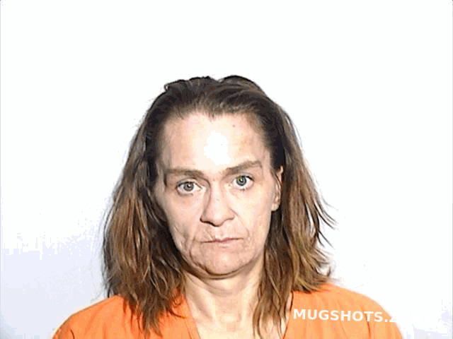 YEAGER TINA CHRISTINE 11/07/2024 - Lucas County Mugshots Zone