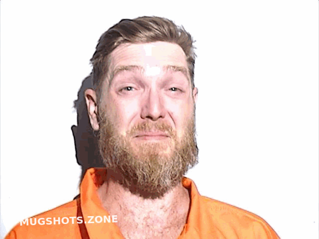 CLEMONS NICHOLAS RAY 11/08/2024 - Lucas County Mugshots Zone