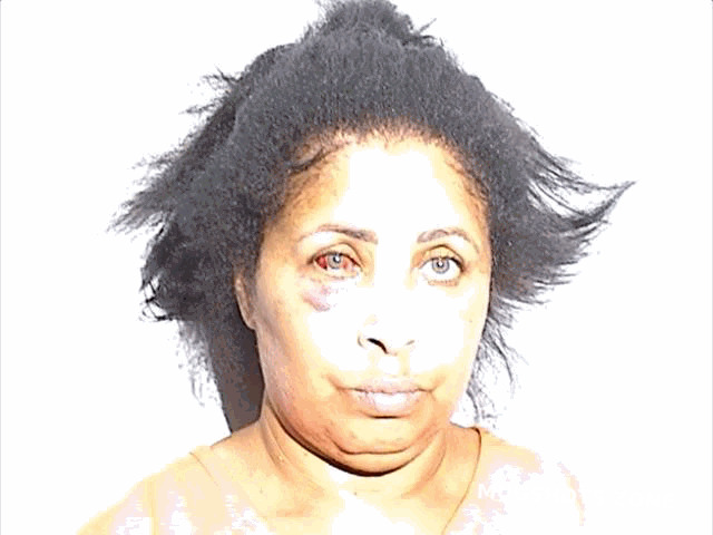 SMITH MELISA ELIZABETH 11/09/2024 - Lucas County Mugshots Zone