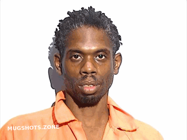 RAYFORD JIMMY LEE JR 11/10/2024 - Lucas County Mugshots Zone