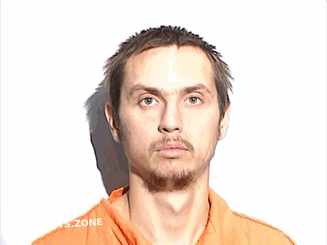 NYE AUSTIN JARRED 11/10/2024 - Lucas County Mugshots Zone