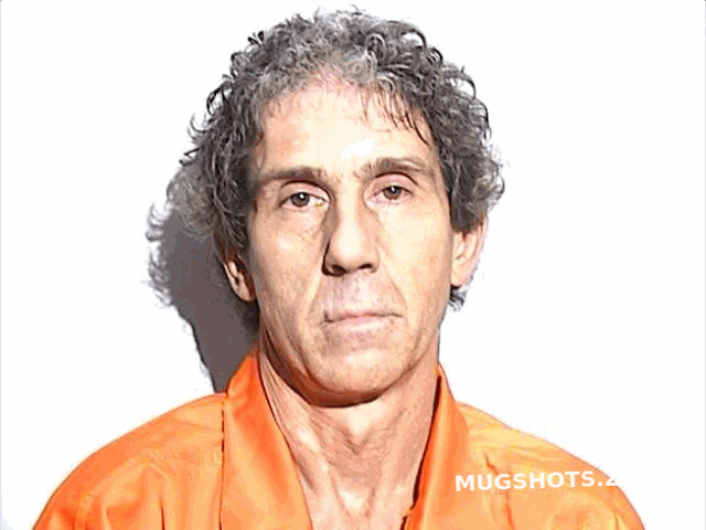 MCCREADY MARK EDWARD SR 11/12/2024 - Lucas County Mugshots Zone