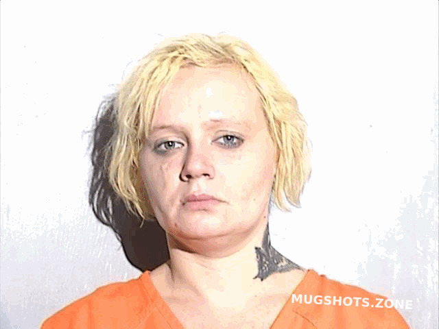 DAVIS LEAH JEAN 11/18/2024 - Lucas County Mugshots Zone