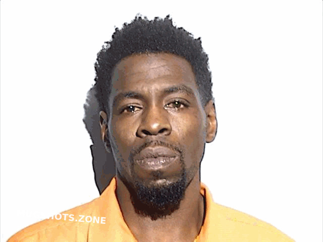 RANDALL DEANGELO 11/18/2024 - Lucas County Mugshots Zone