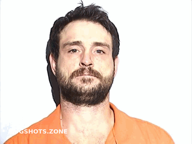 BORSTELMAN CHRISTOPHER JAMES 11/19/2024 - Lucas County Mugshots Zone