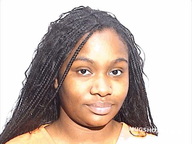 PRESSLEY OLIVIA KYRA 11/19/2024 - Lucas County Mugshots Zone