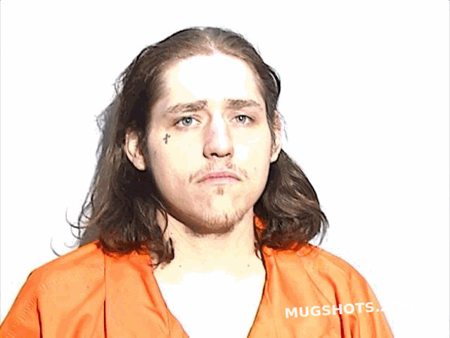 MARTIN JACOB ALLYN 11/21/2024 - Lucas County Mugshots Zone