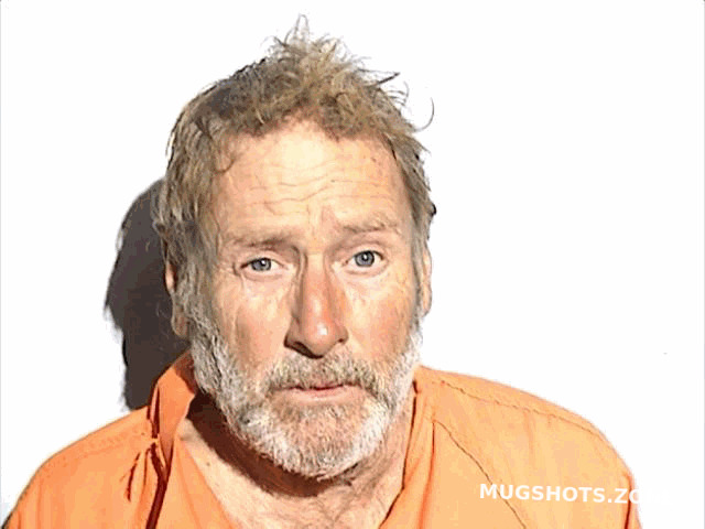 YOUNG DERRICK EDWIN 11/21/2024 - Lucas County Mugshots Zone