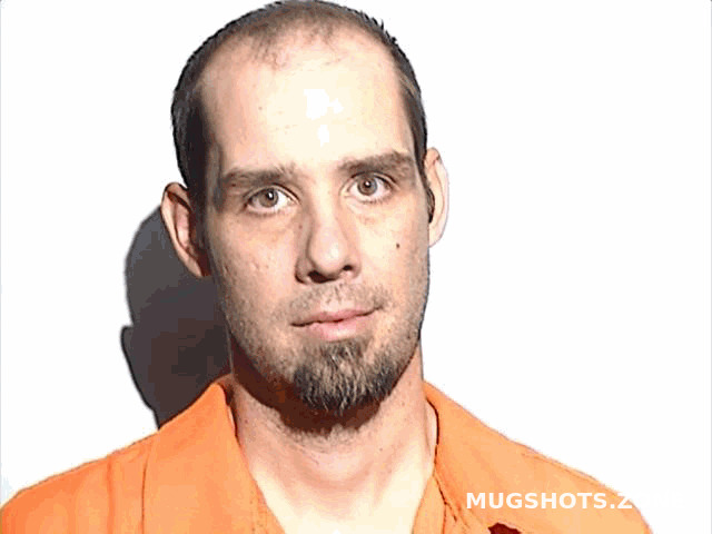 CONLEY BRYAN ADAM 11/21/2024 - Lucas County Mugshots Zone