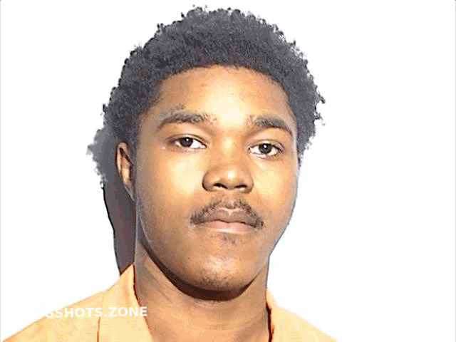 PITTMAN STEVEN ANTHONY JR 11/22/2024 - Lucas County Mugshots Zone