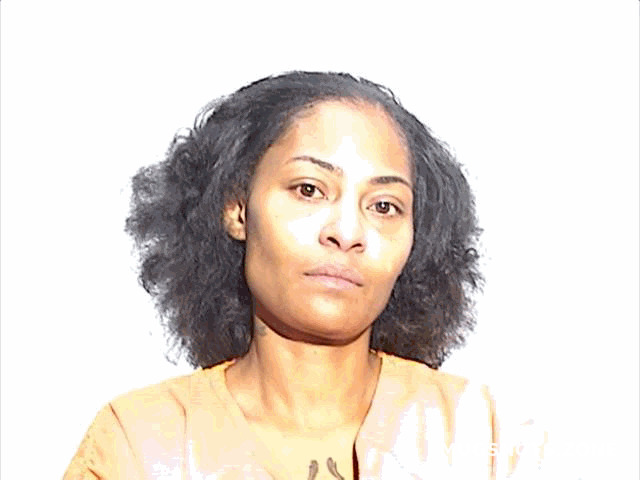 HELTON INDIA RENEE 11/23/2024 - Lucas County Mugshots Zone