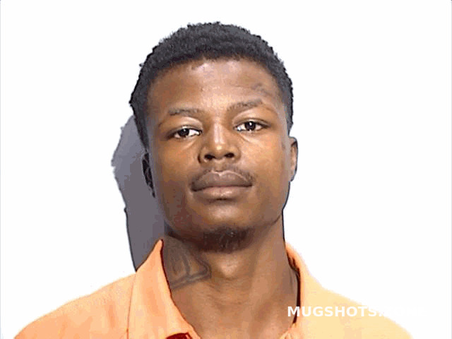 WILLIAMS CHRISTOPHER DAVID 11/24/2024 - Lucas County Mugshots Zone
