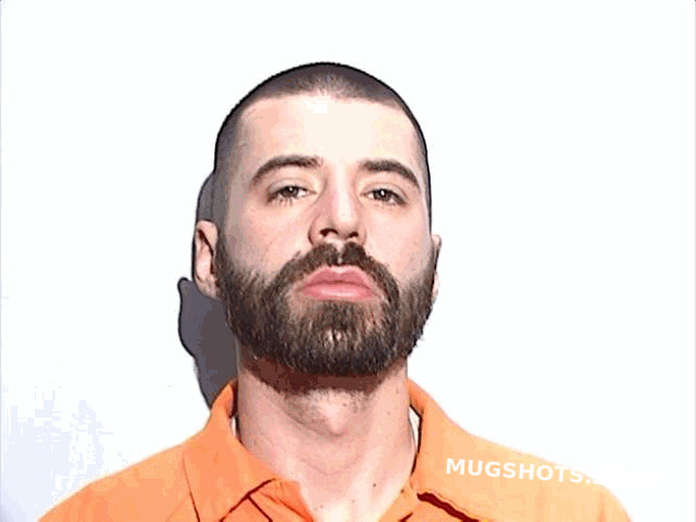 SHERMAN JASON ALLEN JR 11/24/2024 - Lucas County Mugshots Zone