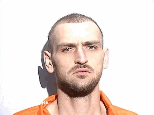 SEIPLE SEAN MICHAEL 11/24/2024 - Lucas County Mugshots Zone