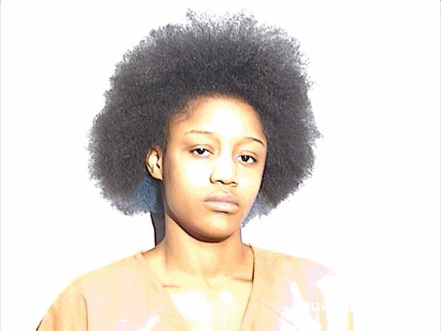 BRAXTON CHANTEL SONYA 11/25/2024 - Lucas County Mugshots Zone