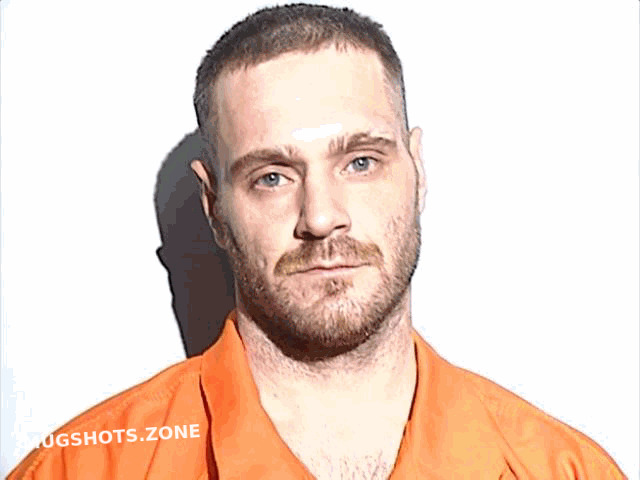 TILLMAN TODD A 11/26/2024 - Lucas County Mugshots Zone