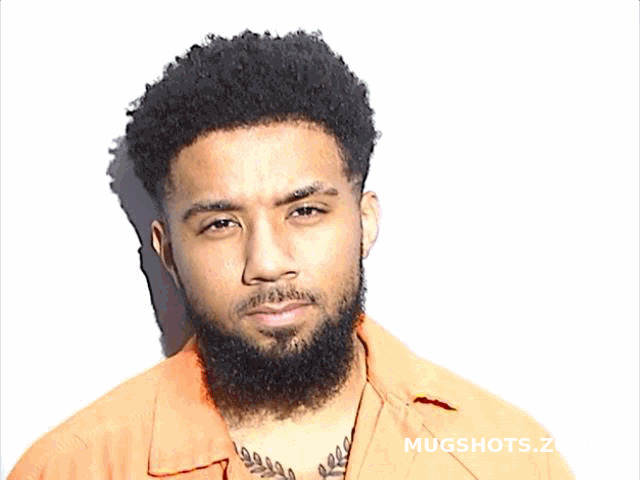 GREER DEION ANTHONY 11/27/2024 - Lucas County Mugshots Zone