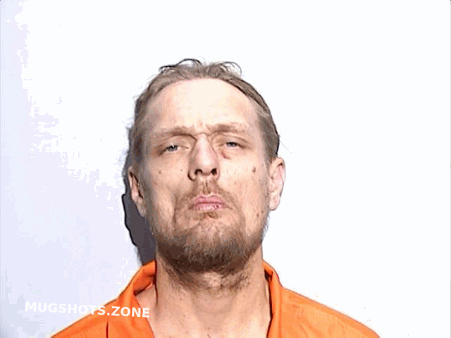 JOHNSON AARON JAY 11/28/2024 - Lucas County Mugshots Zone