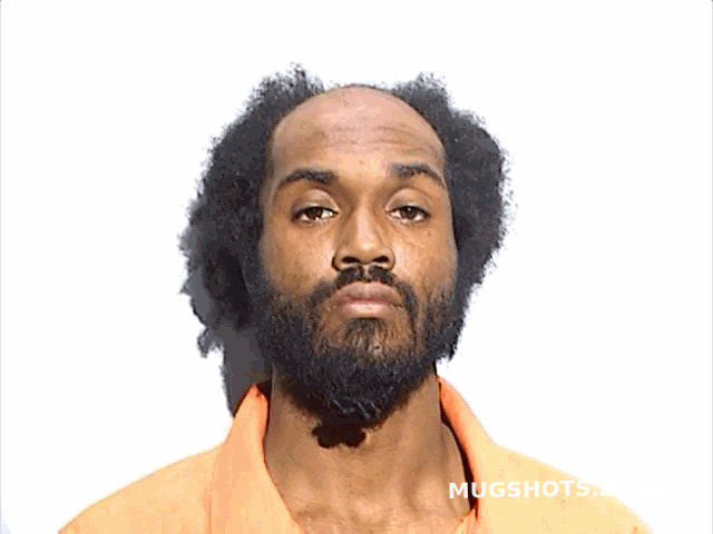 LITTLETON DONTRELL DASHAY 11/30/2024 - Lucas County Mugshots Zone