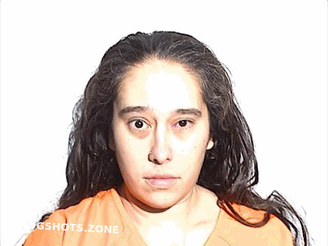 AYALA KAYLA MICHELLE 12/05/2024 - Lucas County Mugshots Zone
