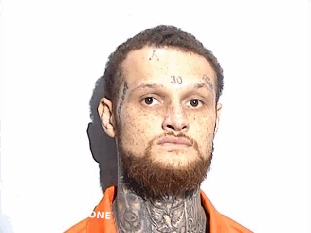 GILMORE EMMANUEL ROMARIO 12/11/2024 - Lucas County Mugshots Zone