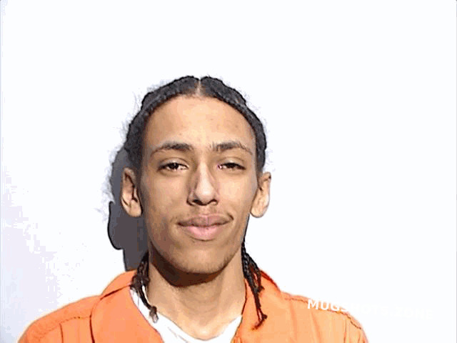 HUGGINS JORDEN NATHAN 12/13/2024 - Lucas County Mugshots Zone