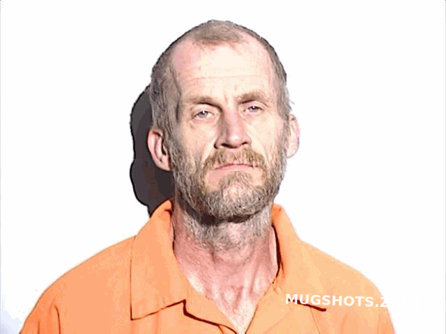 BECKMAN TROY MATTHEW 12/14/2024 - Lucas County Mugshots Zone