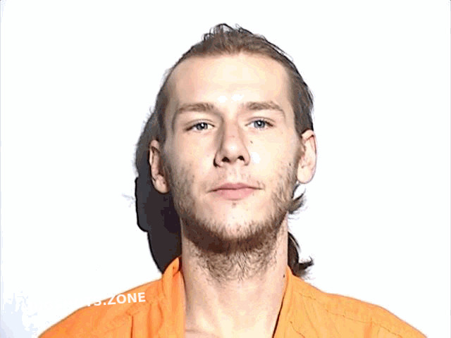 FEASEL MIKE VINCENT 12/16/2024 - Lucas County Mugshots Zone