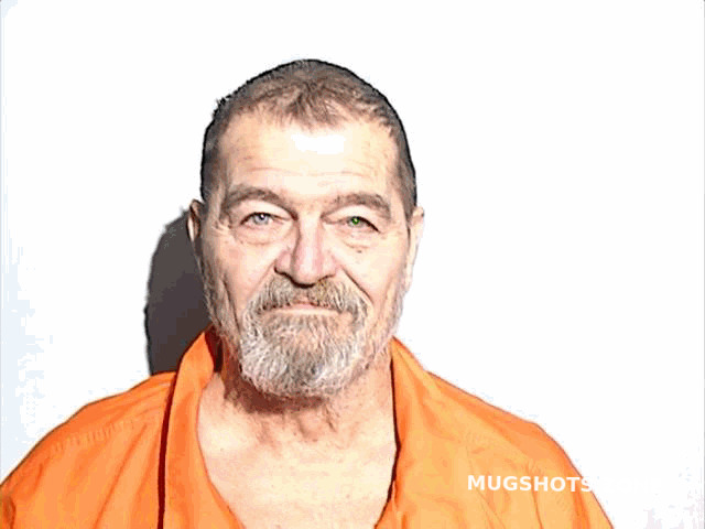 MCCUNE PATRICK TIMOTHY 12/18/2024 - Lucas County Mugshots Zone