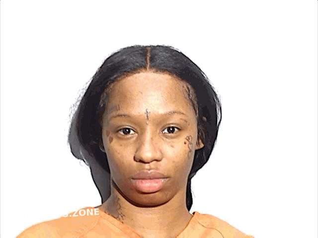 HALL MONIKA DETRICE 12/18/2024 - Lucas County Mugshots Zone