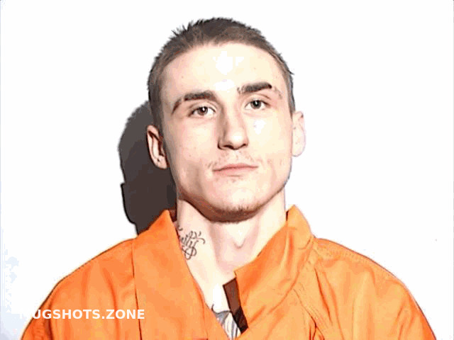 SINKOVIC ZACKERY COLE 12/18/2024 - Lucas County Mugshots Zone