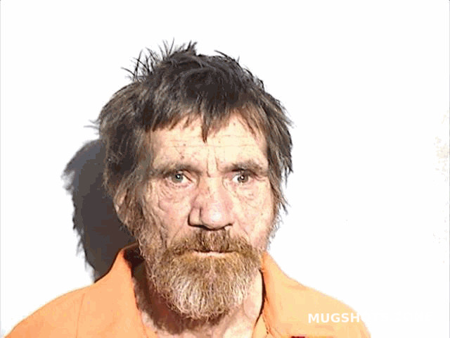 CONLEY WILLARD FITZGERALD 12/19/2024 - Lucas County Mugshots Zone