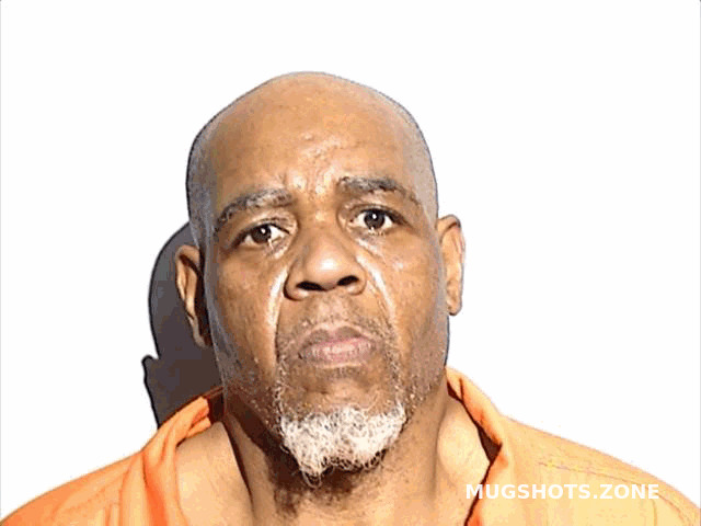 RICHARDSON JEWETT LEWIS 12/28/2024 - Lucas County Mugshots Zone