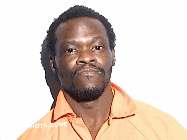 SNOW RONELL ARTHUR 12/30/2024 - Lucas County Mugshots Zone