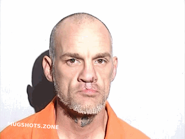 BOYD ANTHONY NELSON SR 01/01/2025 - Lucas County Mugshots Zone