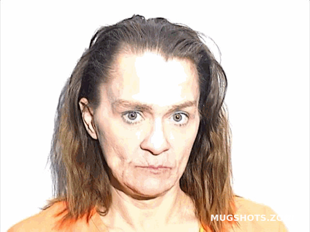 YEAGER TINA CHRISTINE 01/04/2025 - Lucas County Mugshots Zone