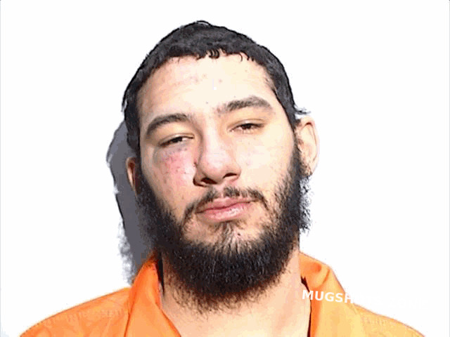 SMITH DAMON ARMOND JR 01/05/2025 - Lucas County Mugshots Zone