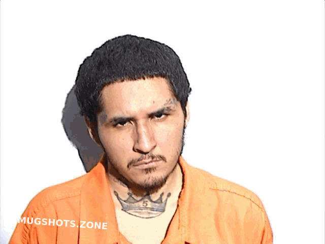 RAMIREZ ABEL JR 01/07/2025 - Lucas County Mugshots Zone