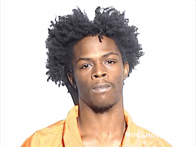 TUGGLE KWON LAZARICK 01/12/2025 - Lucas County Mugshots Zone