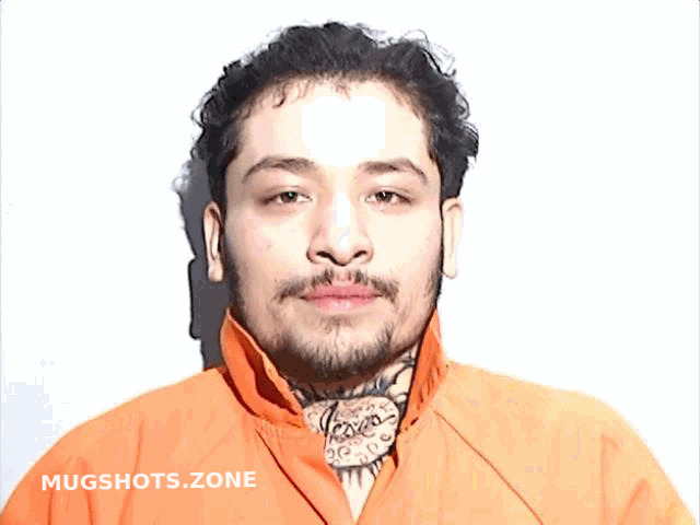 CORTES ALEXANDER 01/17/2025 - Lucas County Mugshots Zone